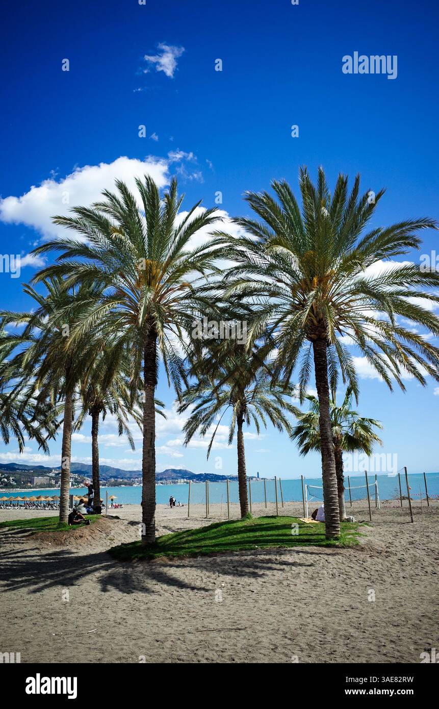 Malaga, Andalusia, Costa de Sol, Spain. Scene from the Malagueta beach ...