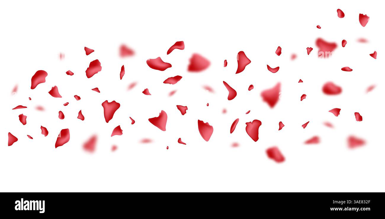 Vector gorgeous rose petal greeting card design. Falling red rose ...