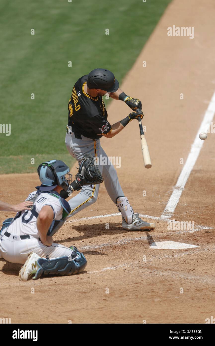 Tampa, FL USA: Pittsburgh Pirates first base Jared Triolo (19) lines ...