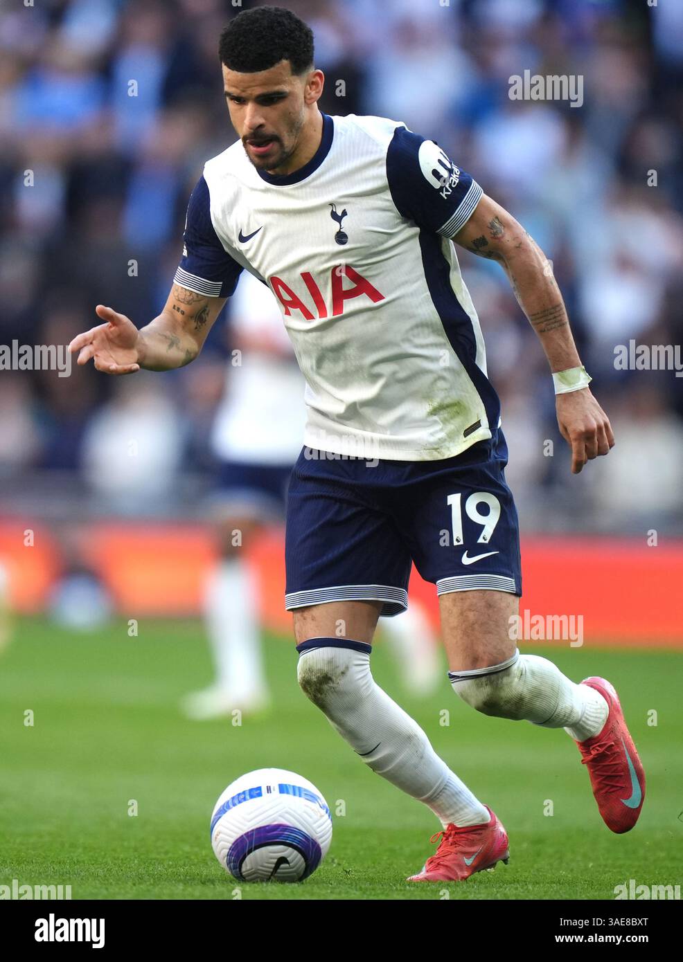 Tottenham Hotspur's Dominic Solanke in action during the Premier League ...