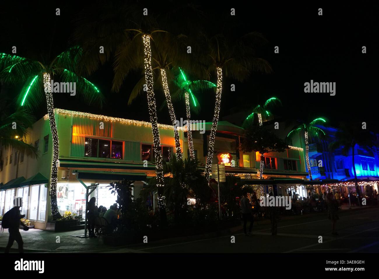 Colorful neon lights illuminate the palm trees in front of a night club ...