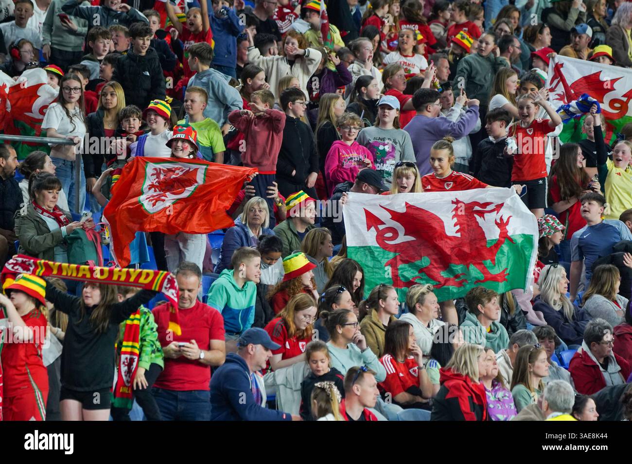 Wales football crowd, 4th April 2025 Stock Photo - Alamy