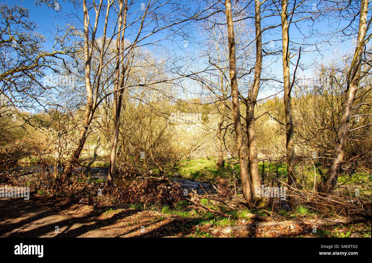 Dundee, Tayside, Scotland, UK. 6th Apr, 2025. UK Weather: Warm Spring ...