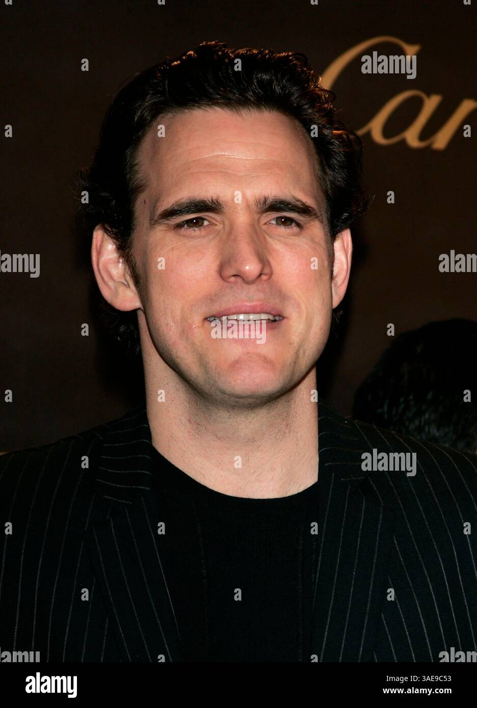 May 9, 2005; Beverly Hills, California, USA; Actor MATT DILLON as ...