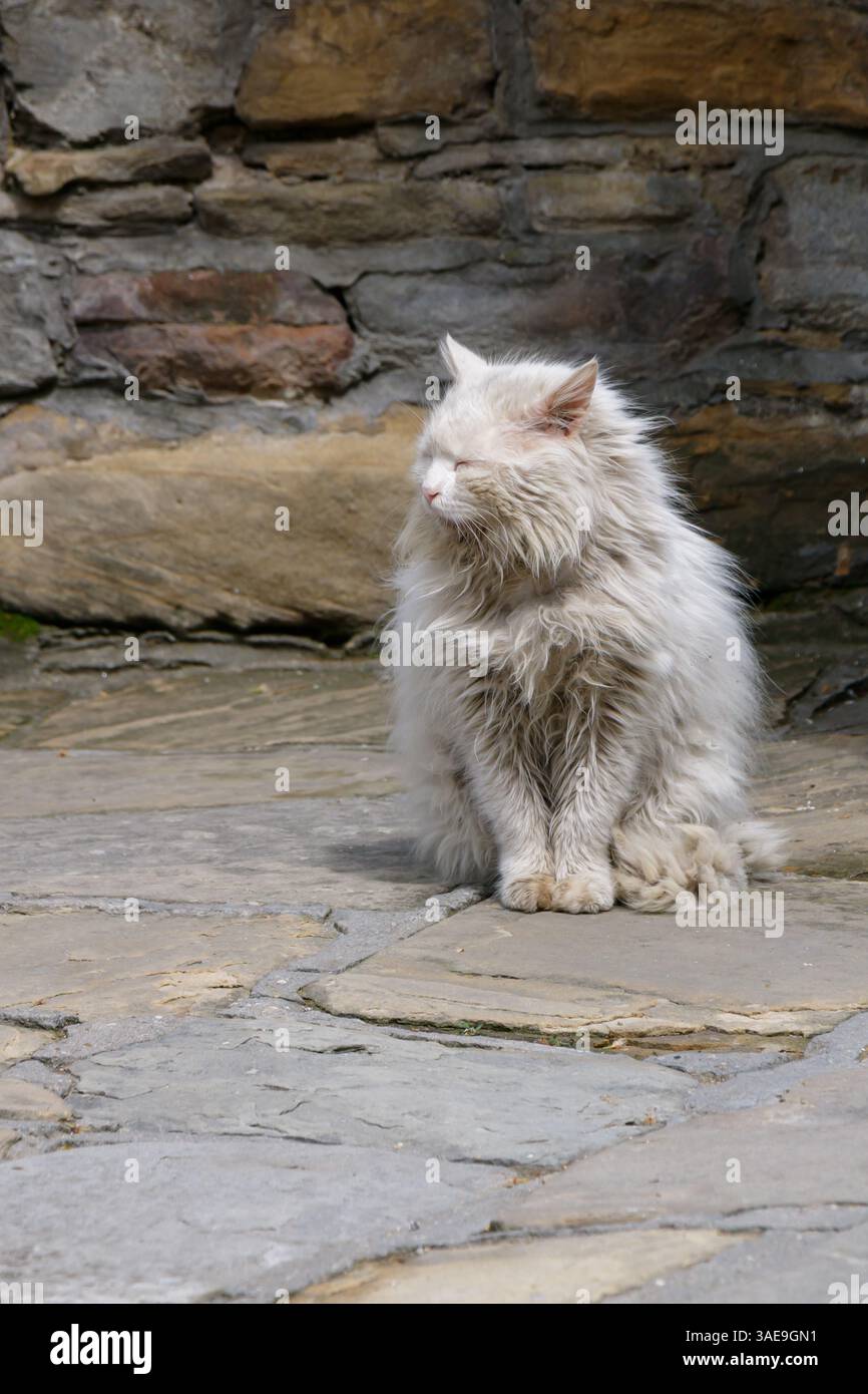 Backdrop features warm hi-res stock photography and images - Alamy