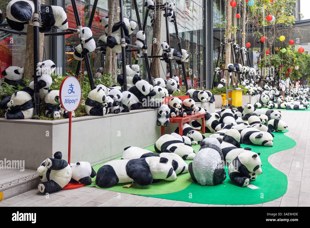 Bangkok Thailand - February 24 2025 : panda bear decoration in front of ...