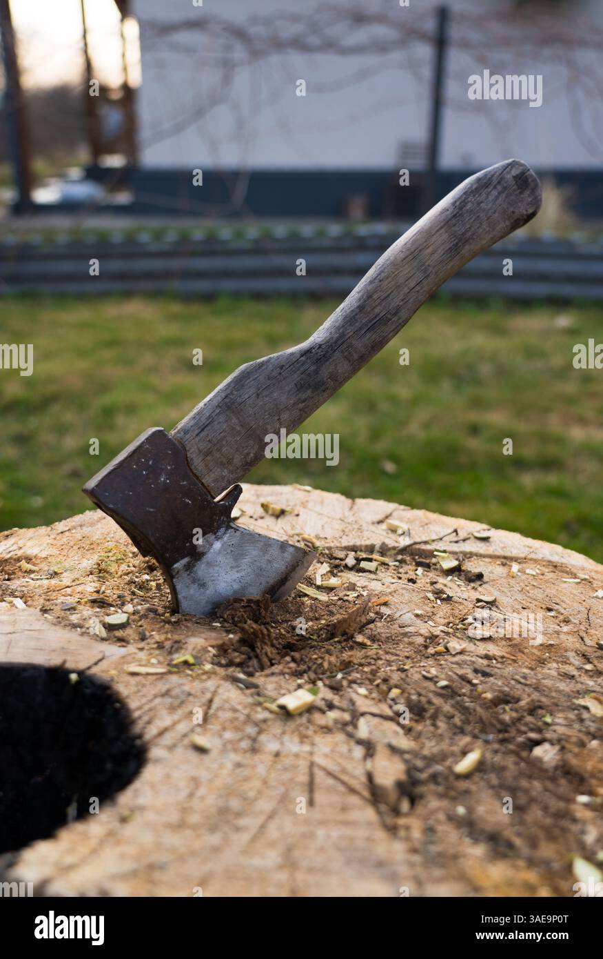 Axe is hammered into an oak block. The axe is stuck in the deck Stock Photo - Alamy