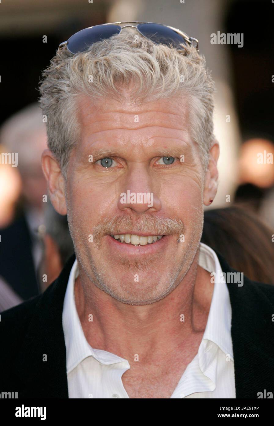 Jun 28, 2008 - Los Angeles, California, USA - RON PERLMAN on the red ...