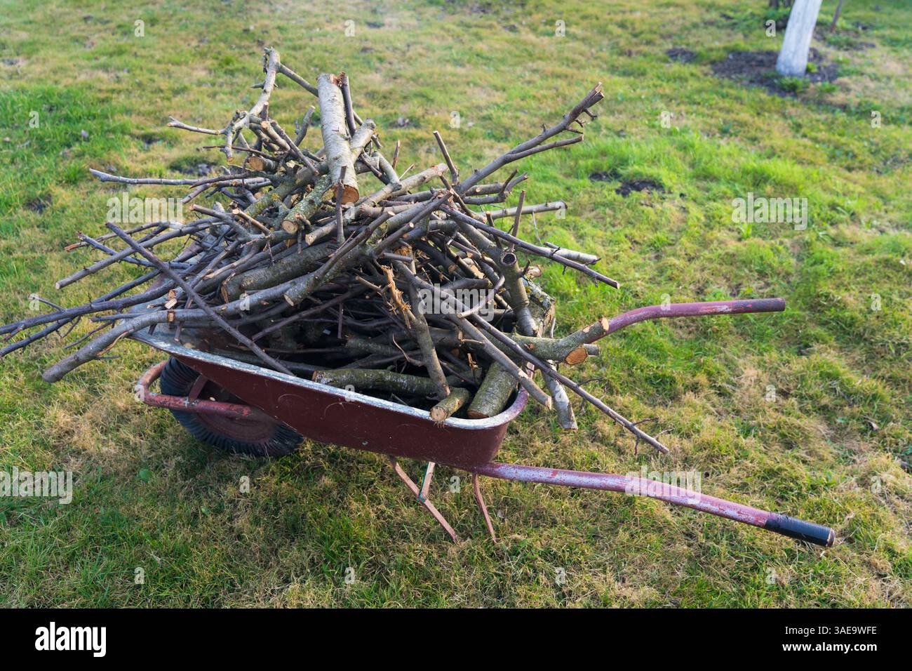 A bunch of branches are stacked in a wheelbarrow. Country life Stock ...