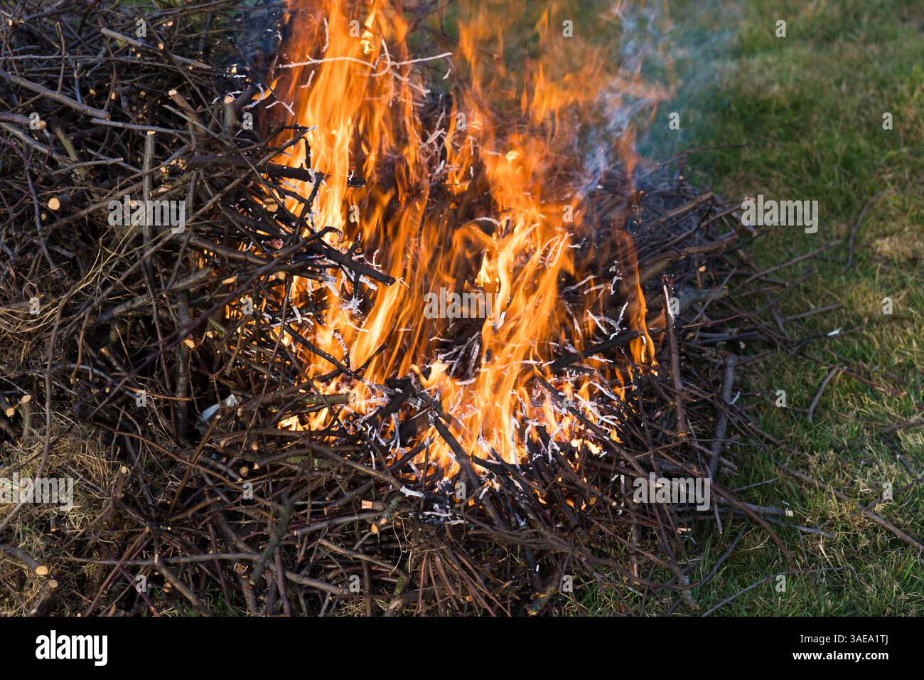 burning pile of dry branches. A strong bonfire flame. Bonfire in the ...