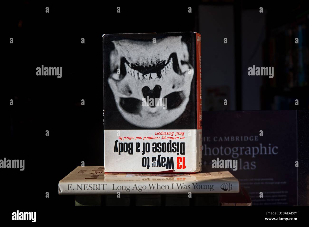 Copy of "13 Ways to Dispose of a Body" by Basil Davenport on display in ...