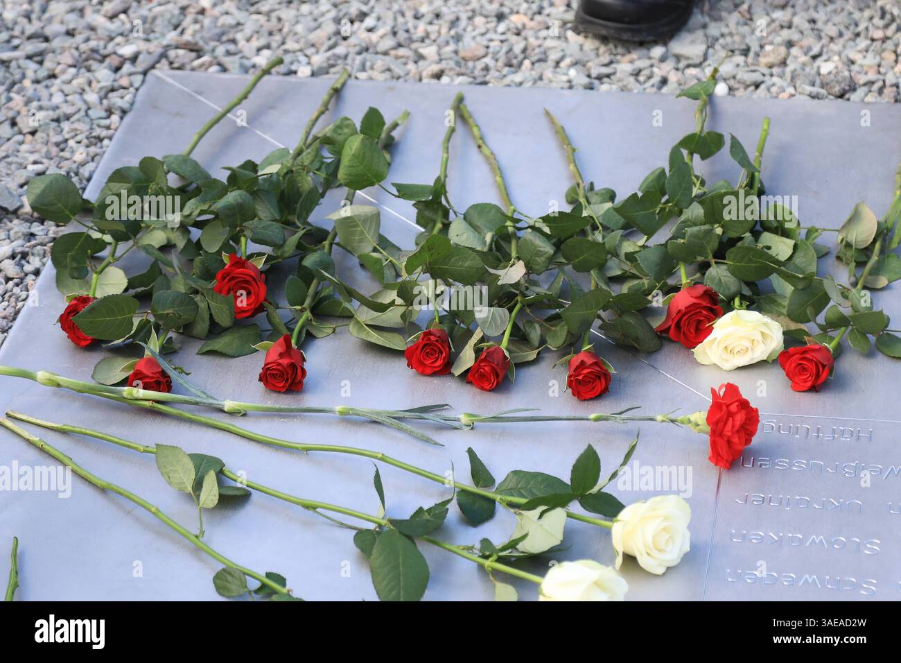 80. Jahrestag der Befreiung der Konzentrationslager Buchenwald und Mittelbau-Dora Buchenwald, 6 ...