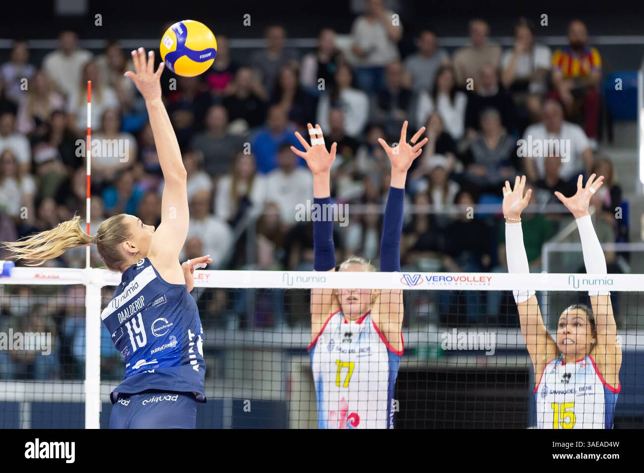Milan, Italy. 06th Apr, 2025. Nika Daalderop (Numia VeroVolley Milano ...