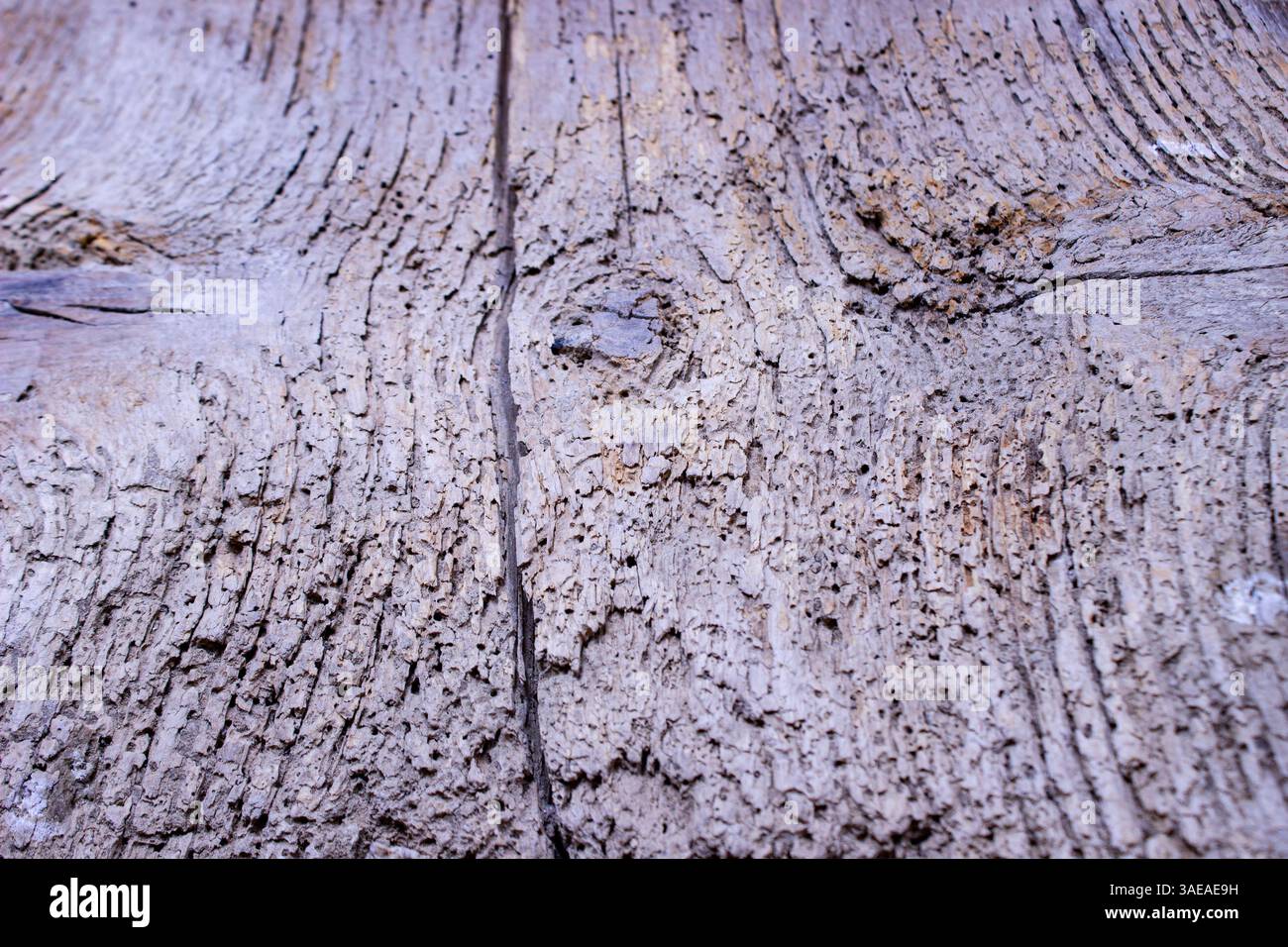 "Weathered Rustic Wood Texture Background – Natural Aged Timber Surface ...