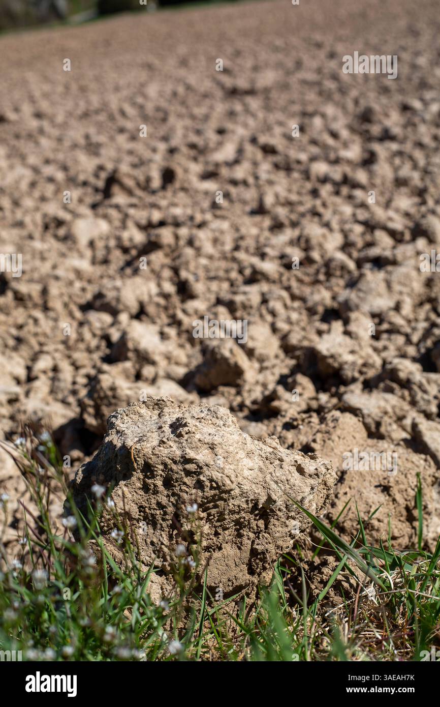 Ausgetrockneter Ackerboden in der Nähe von Meckenheim Rhein-Sieg-Kreis ...