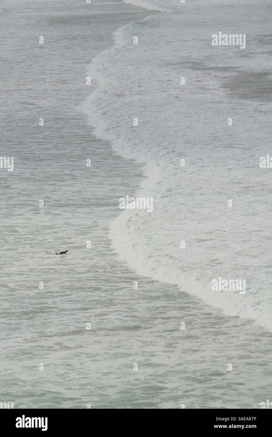 single surfer going out in big white surf Stock Photo - Alamy