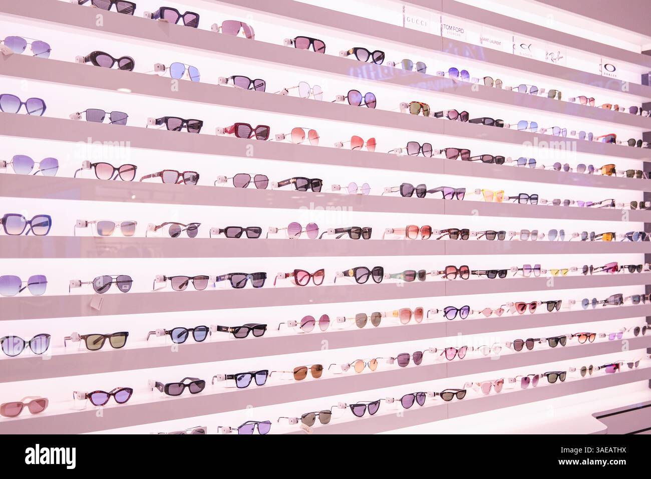 A row of eyeglasses on display in a store. The glasses are of various ...