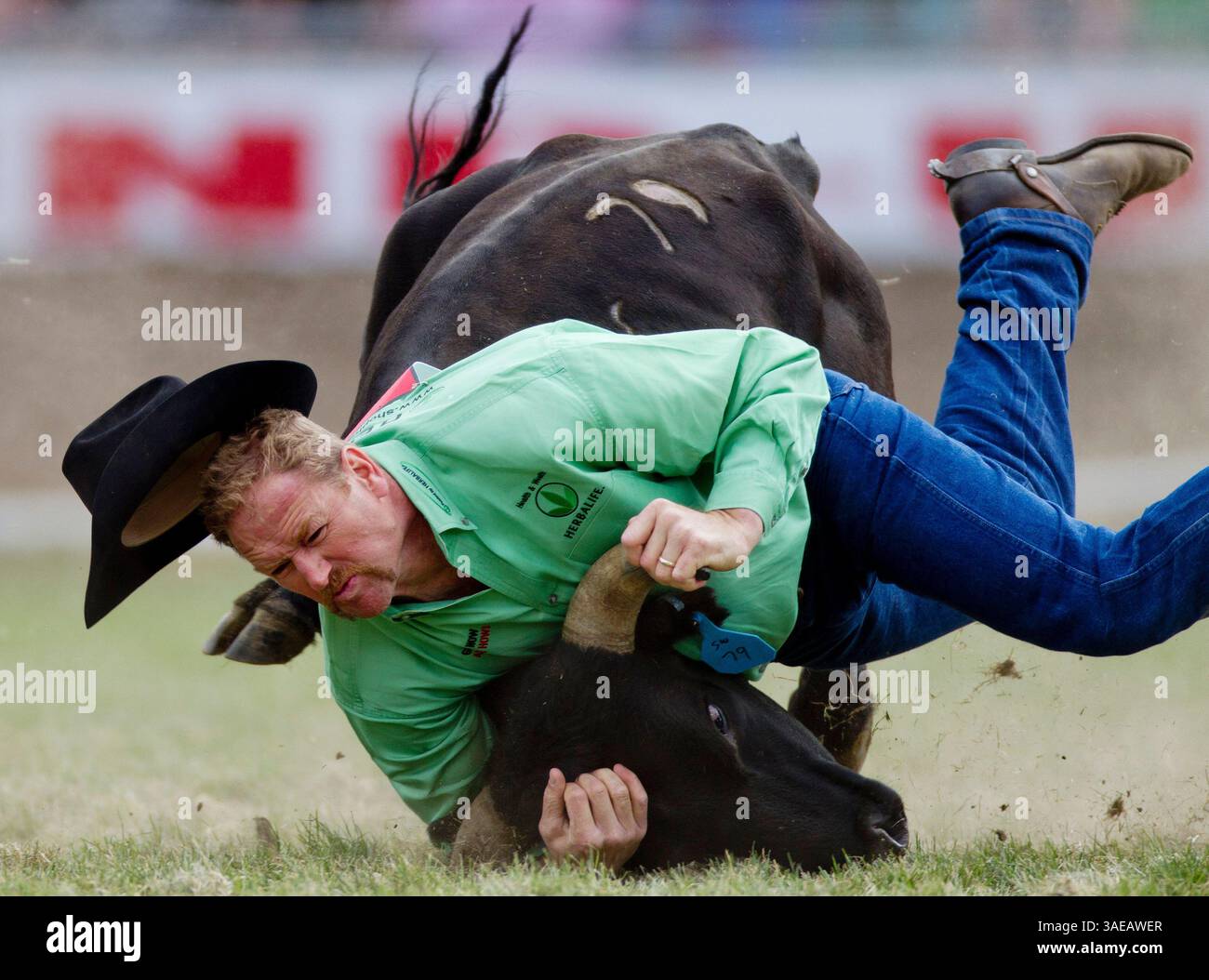 Michael reger hi-res stock photography and images - Alamy