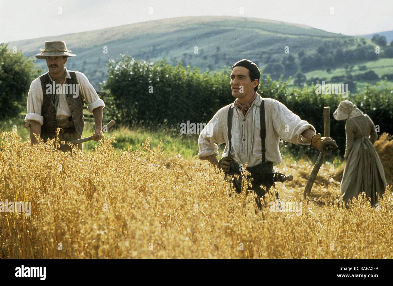 Film Still / Publicity Still from "Feast of July" James Purefoy, Ben ...