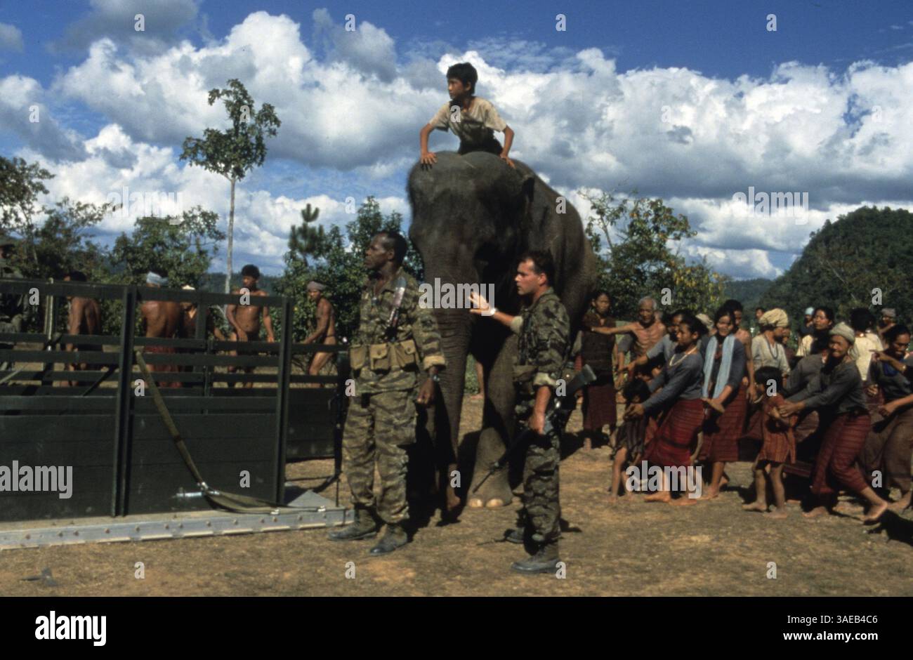 Film Still / Publicity Still from "Operation Dumbo Drop" Danny Glover ...