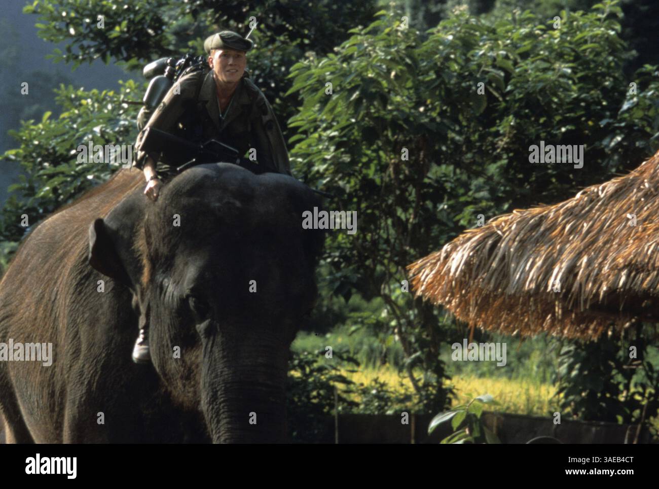 Film Still / Publicity Still from "Operation Dumbo Drop" Corin Nemec ...