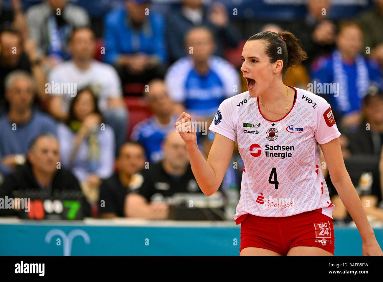 DVL, Volleyball, 1. Bundesliga, Damen, Saison 2024/25, Playoff ...