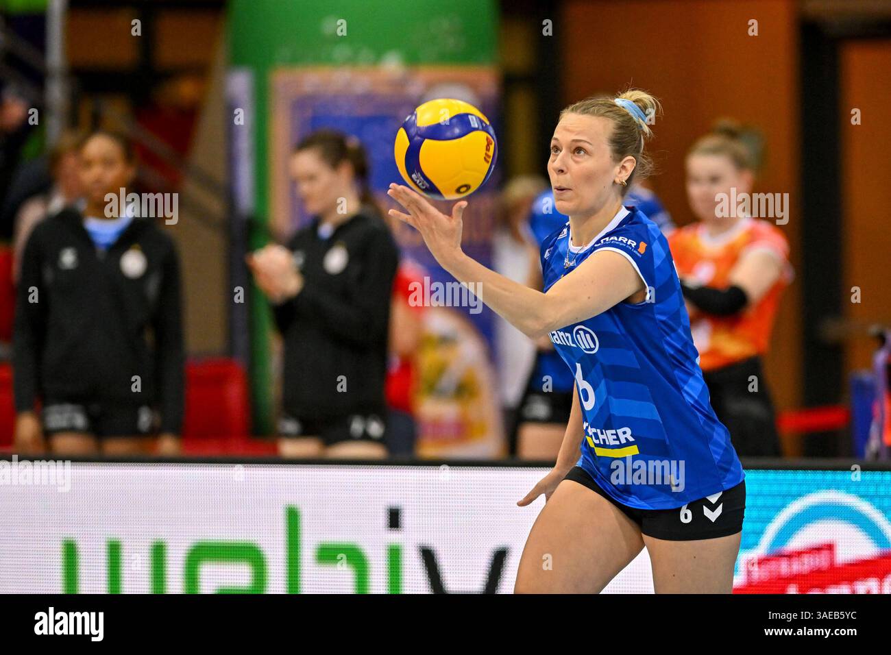 DVL, Volleyball, 1. Bundesliga, Damen, Saison 2024/25, Playoff ...