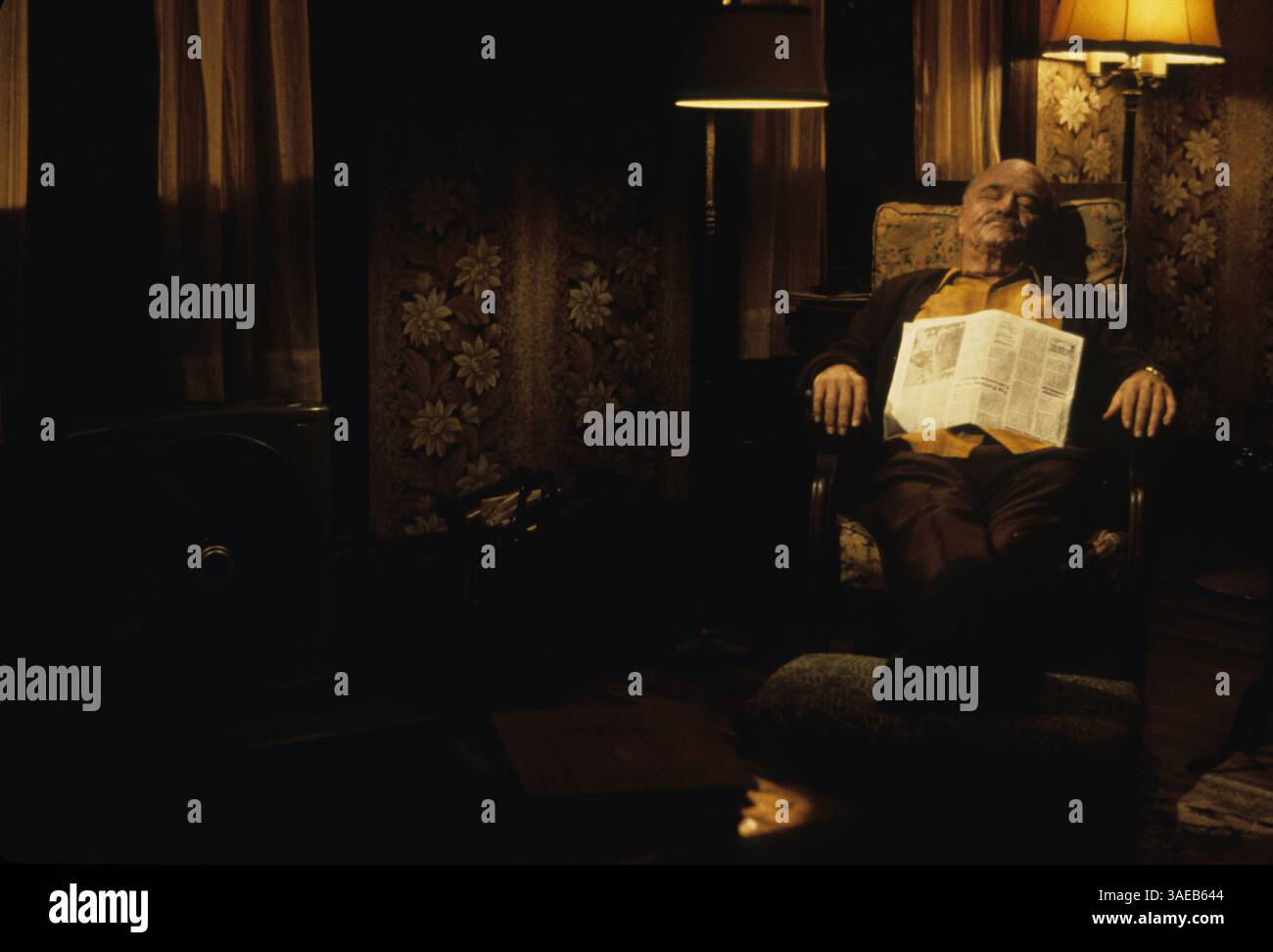 Film Still / Publicity Still from "Roommates" Peter Falk 1995 Hollywood ...