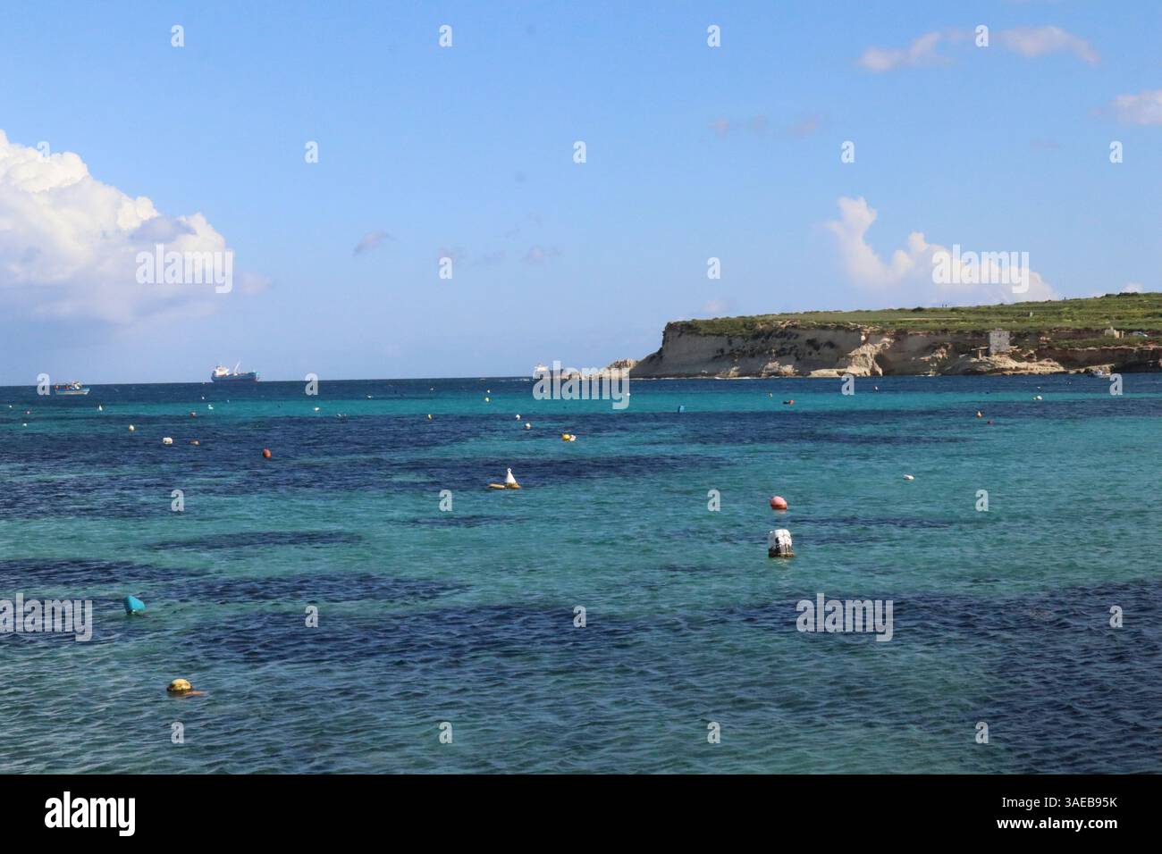 April 06, 2025, Magical flowers spring in the area of St Thomas Bay ...