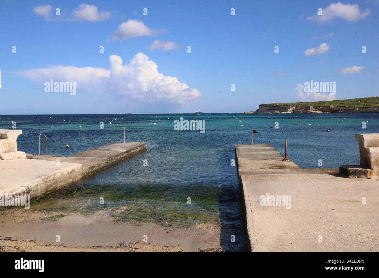 April 06, 2025, Magical flowers spring in the area of St Thomas Bay ...