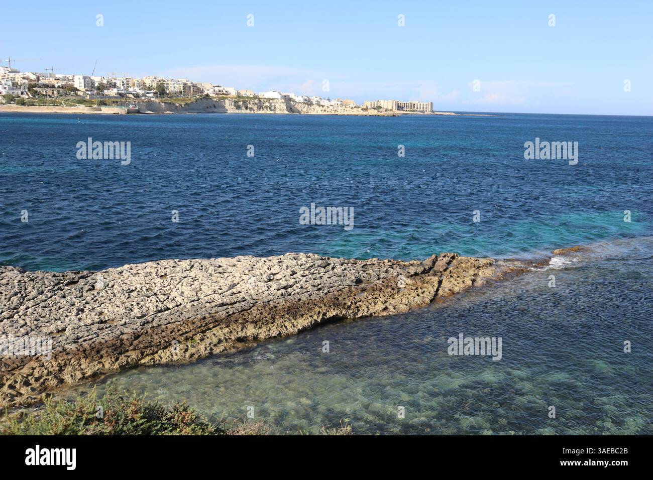 April 06, 2025, Magical flowers spring in the area of St Thomas Bay ...