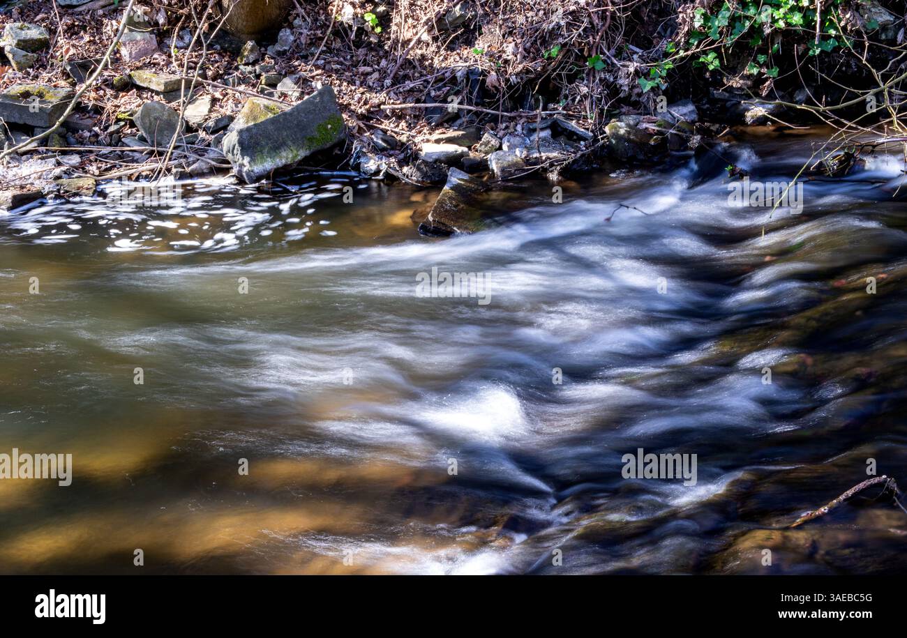Natural beauty of Dundee Trottick Nature & Wildlife Reserve's The ...