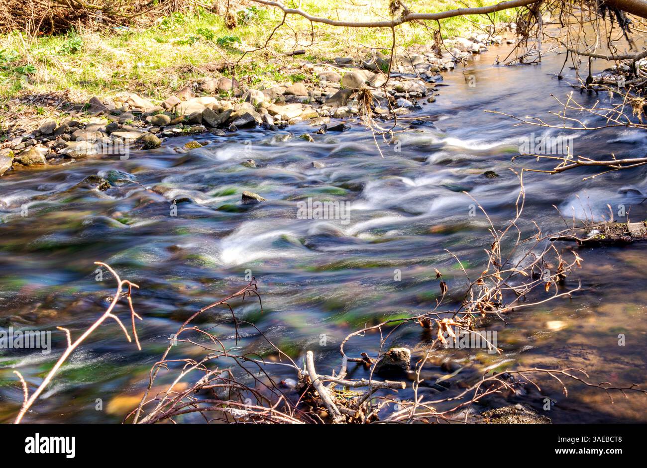 Natural beauty of Dundee Trottick Nature & Wildlife Reserve's The ...