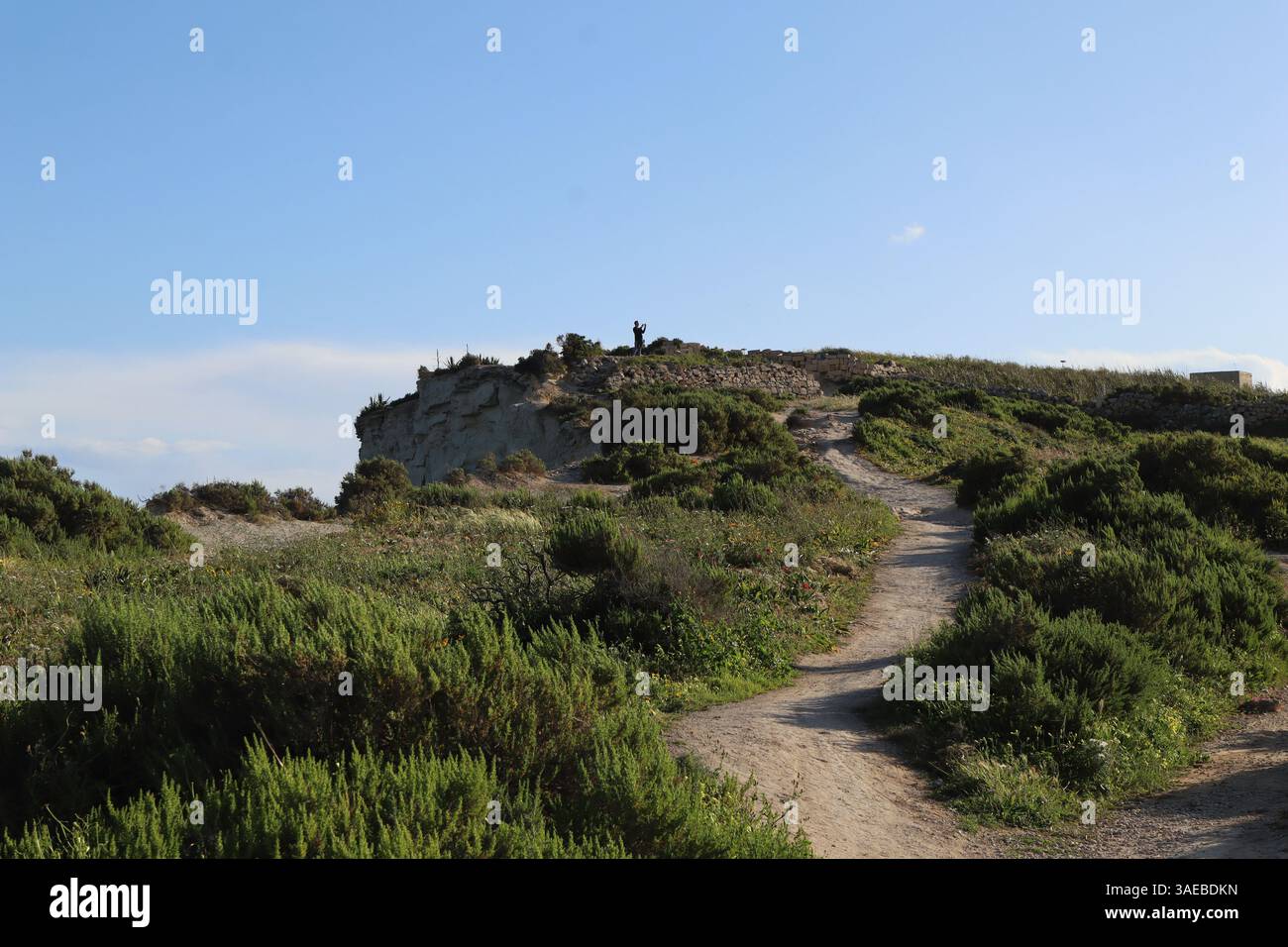 April 06, 2025, Magical flowers spring in the area of St Thomas Bay ...