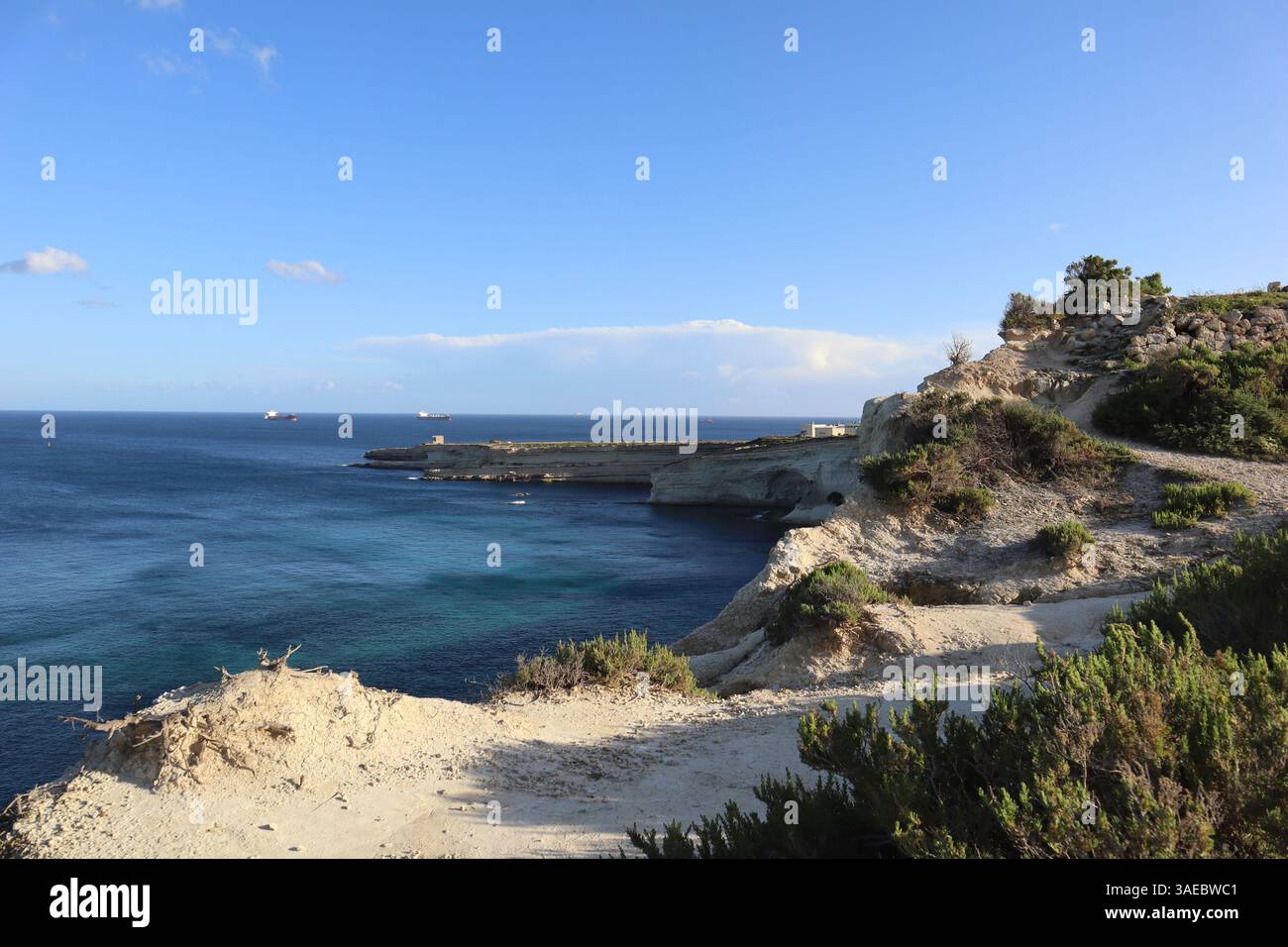 April 06, 2025, Magical flowers spring in the area of St Thomas Bay ...