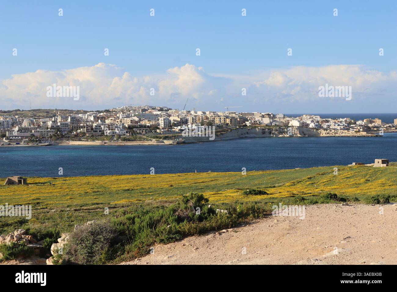 April 06, 2025, Magical flowers spring in the area of St Thomas Bay ...