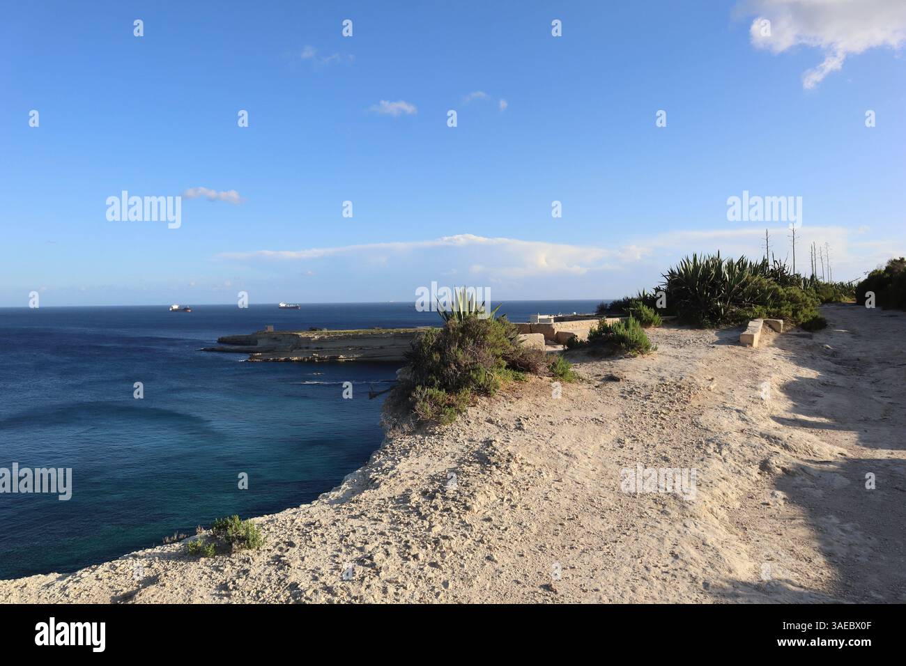 April 06, 2025, Magical flowers spring in the area of St Thomas Bay ...