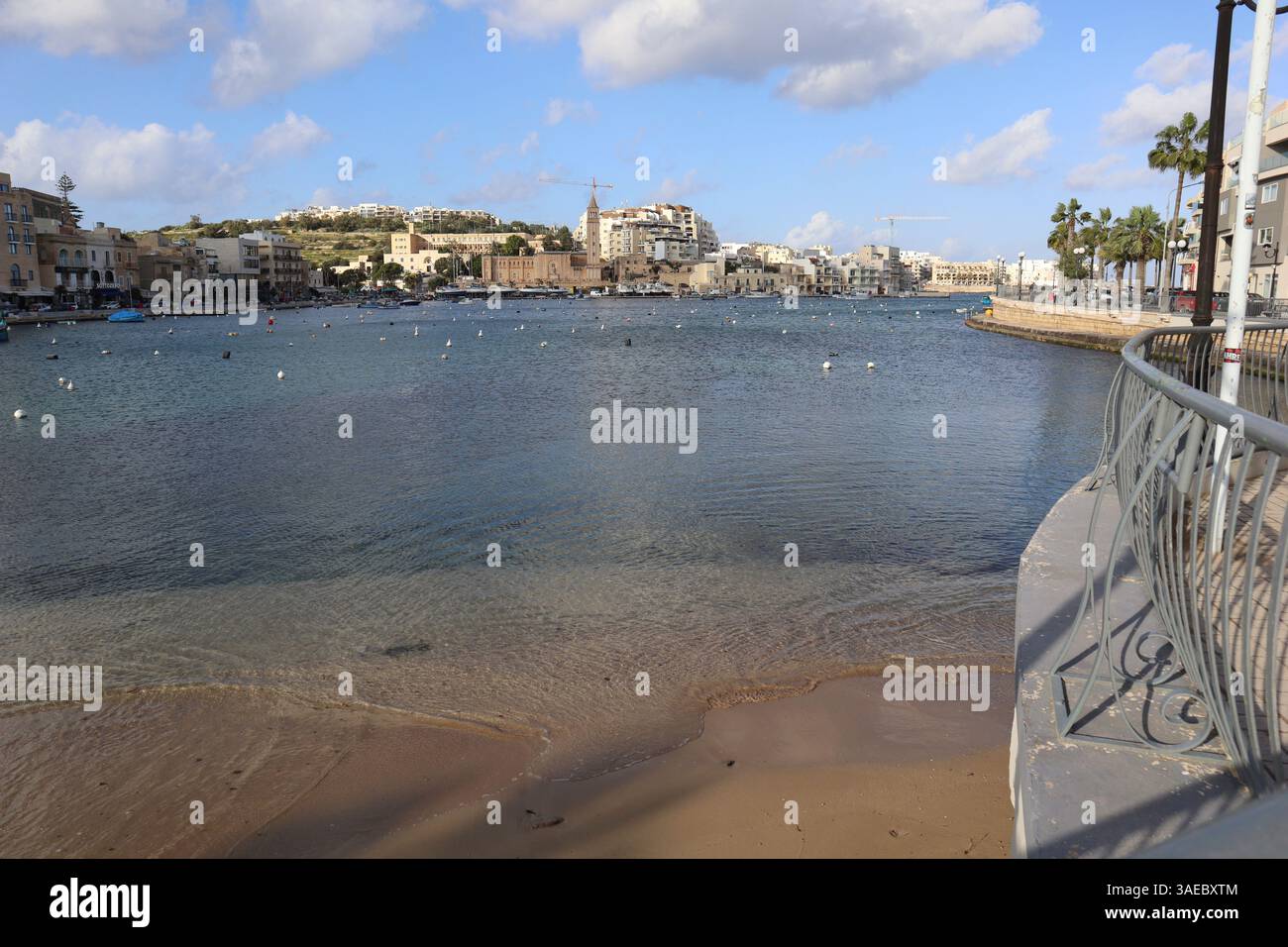 April 06, 2025, Magical flowers spring in the area of St Thomas Bay ...