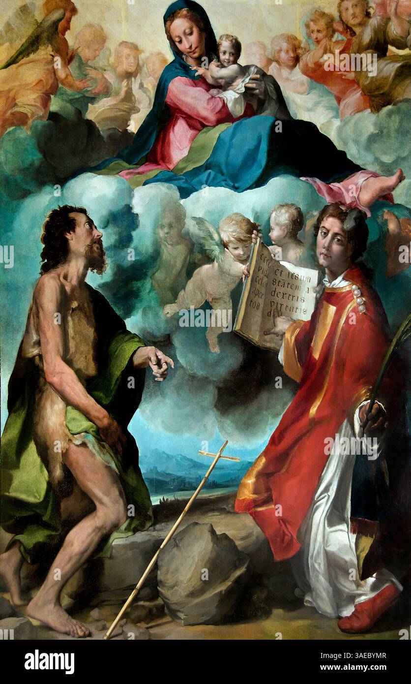 The Virgin in Glory with Saints John the Baptist and St. Stephen 1554 by Michelangelo ANSELMI ...