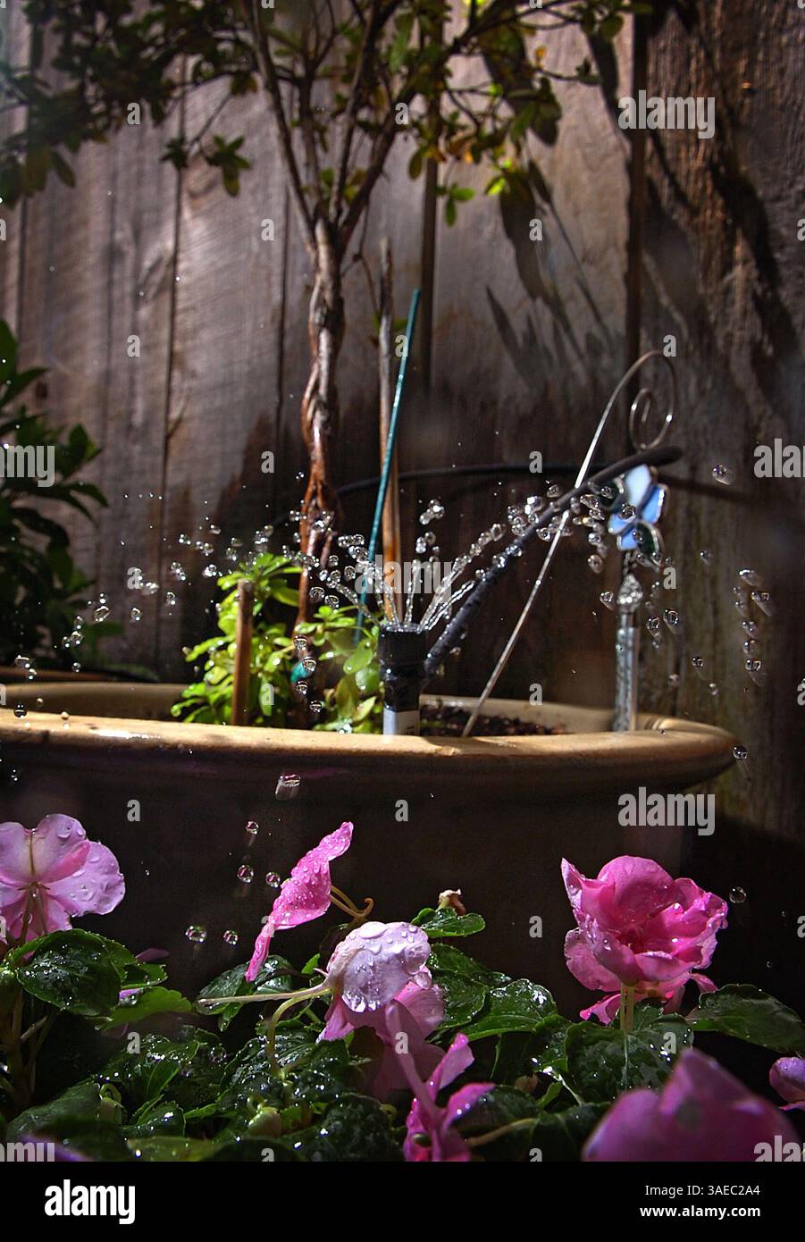 Timed irrigation hi-res stock photography and images - Alamy