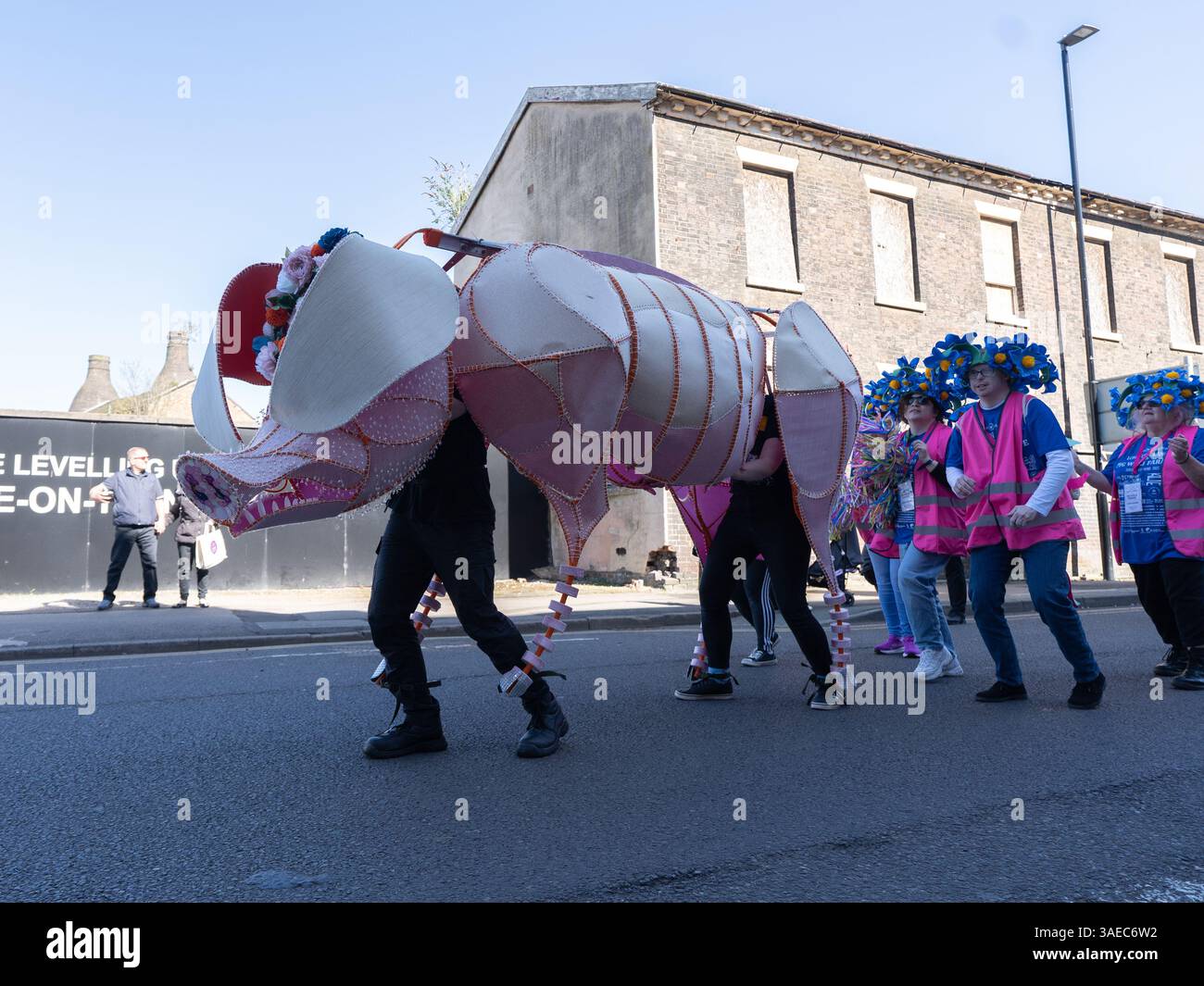 Stoke On Trent, Staffordshire, UK. 06th Apr 2025. The Longton Pig Walk ...
