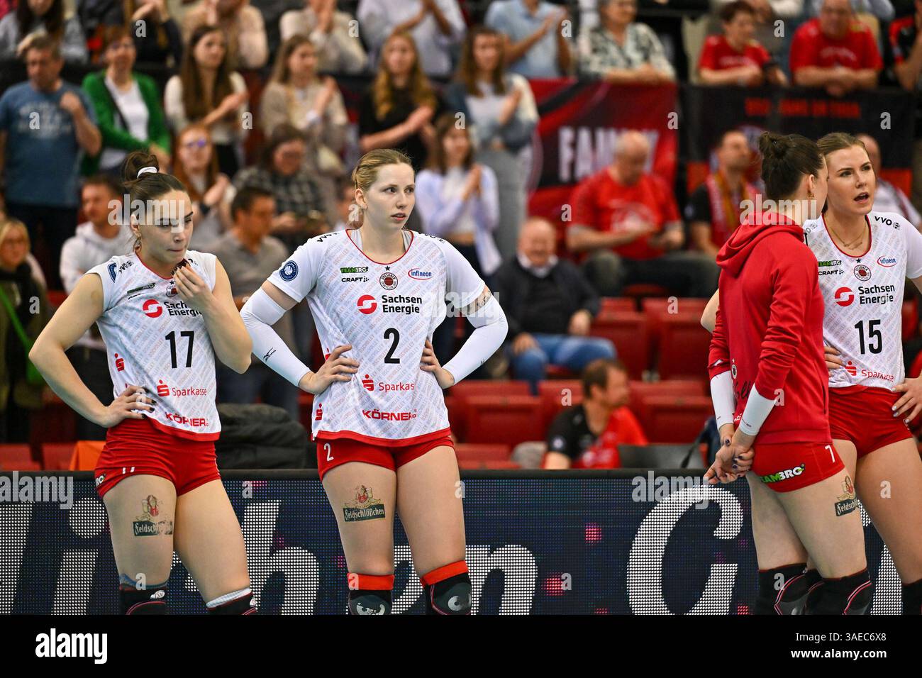 DVL, Volleyball, 1. Bundesliga, Damen, Saison 2024/25, Playoff ...