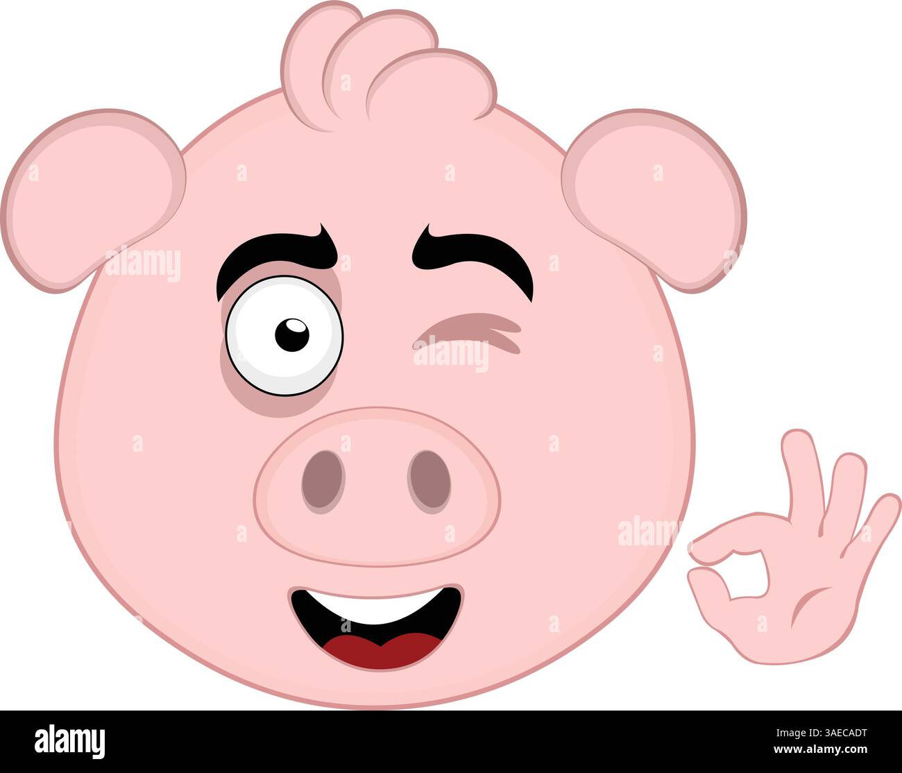 vector illustration emoji character face pig cartoon, winking eye and with his hand making an ok ...