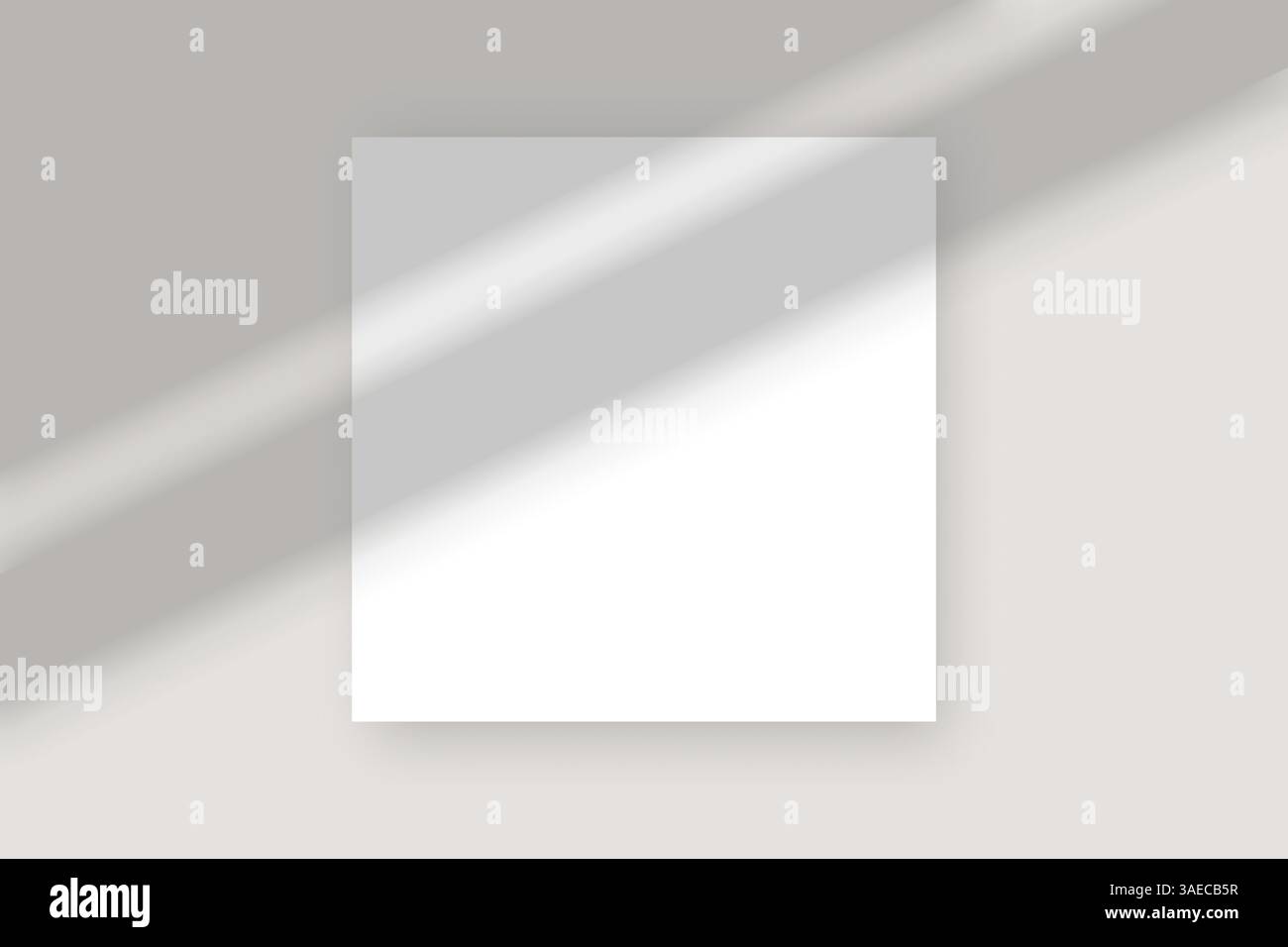 Overlay effect on paper sheet. Scenes of natural lighting. Minimalistic ...