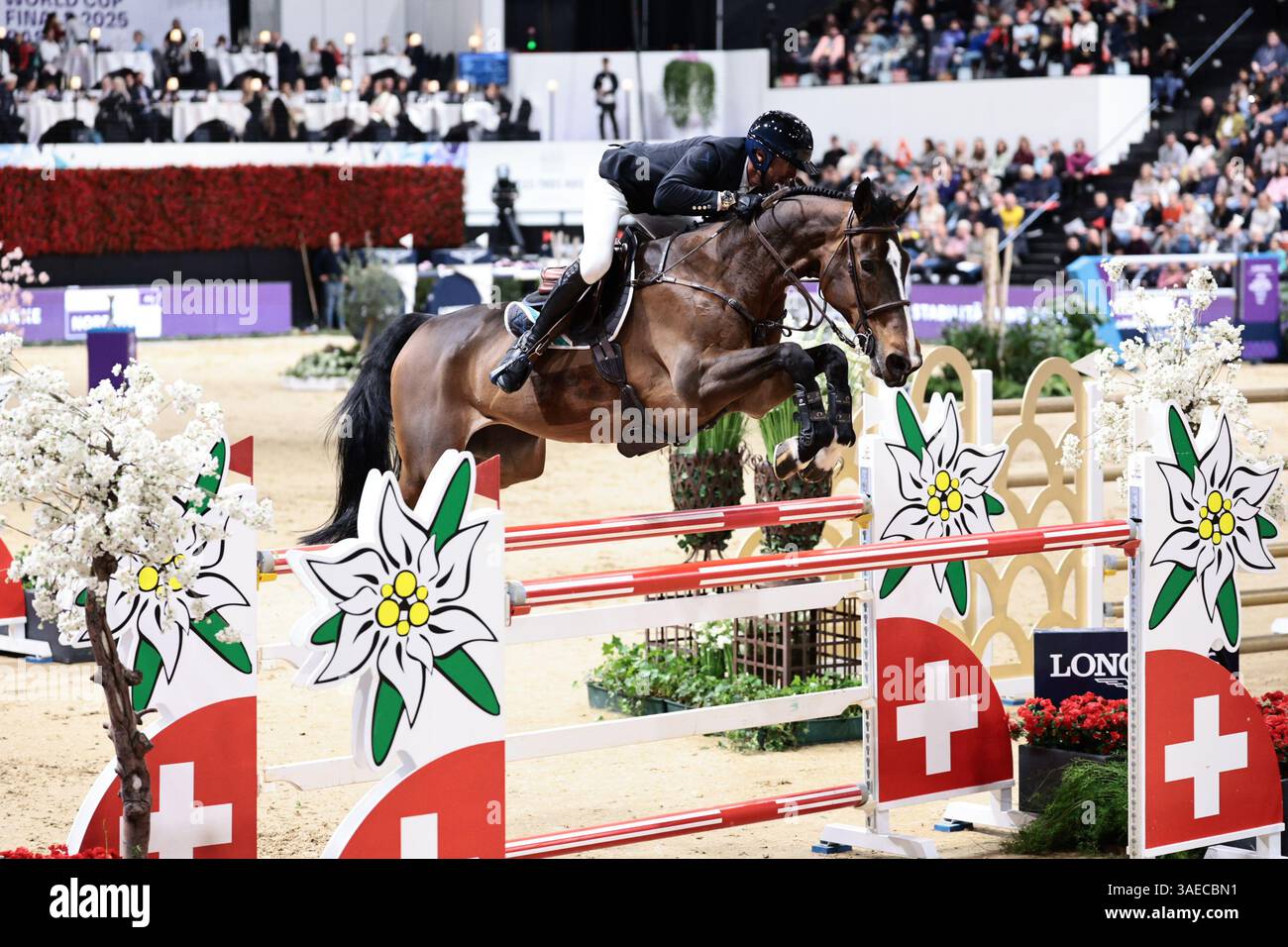 Kevin STAUT of France with Visconti du Telman during the Longines FEI ...