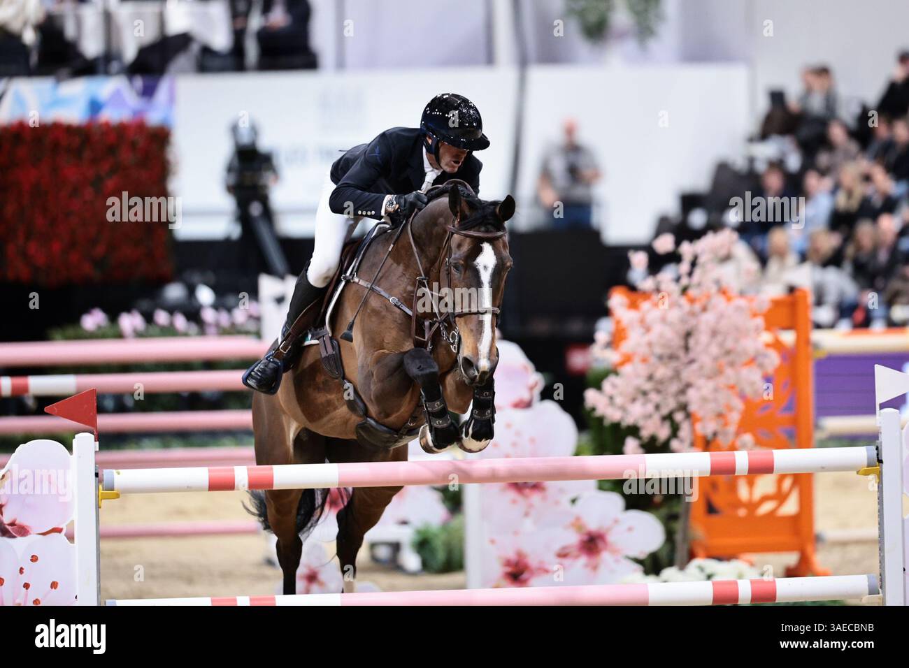 Kevin STAUT of France with Visconti du Telman during the Longines FEI ...