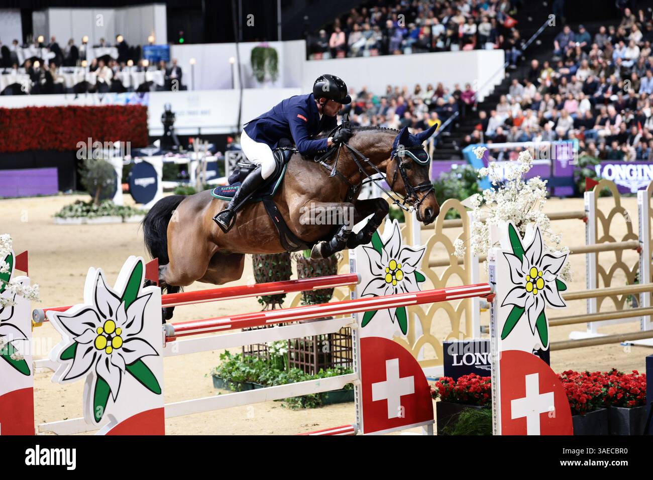 Mario STEVENS of Germany with Starissa FRH during the Longines FEI ...