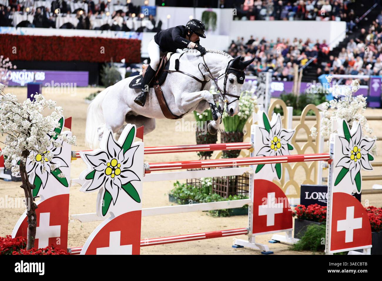 Martin FUCHS of Switzerland with Leone Jei during the Longines FEI ...
