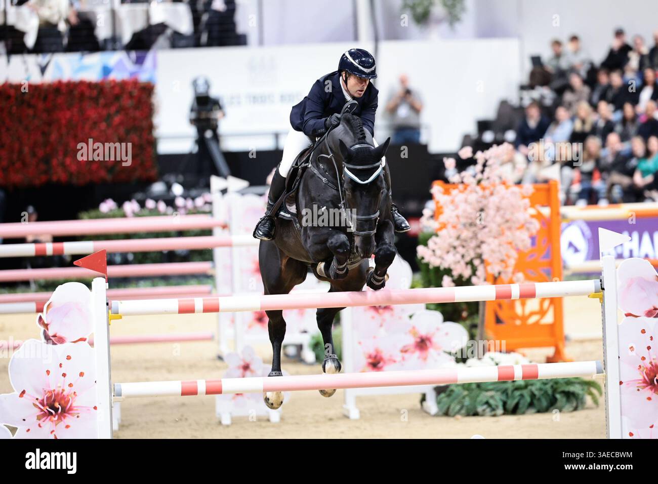 Robert WHITAKER of Great Britain with Vermento during the Longines FEI ...
