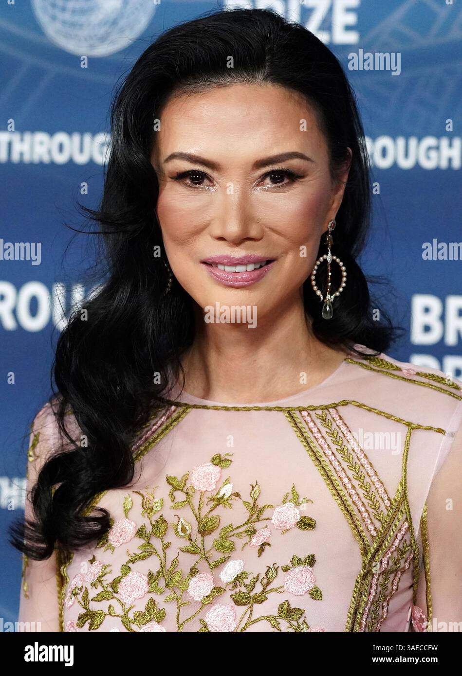 Wendi Murdoch arrives at the 11th Breakthrough Prize Ceremony on ...